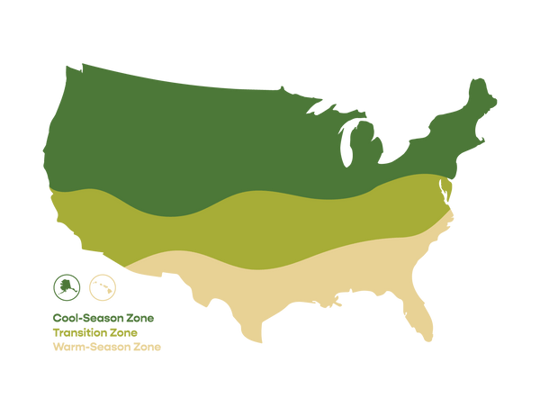 BEST GRASS SEED TYPE FOR EACH 50 U.S. STATES! - Swell Seed Co.