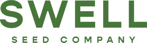 Aubrieta - Swell Seed Co.